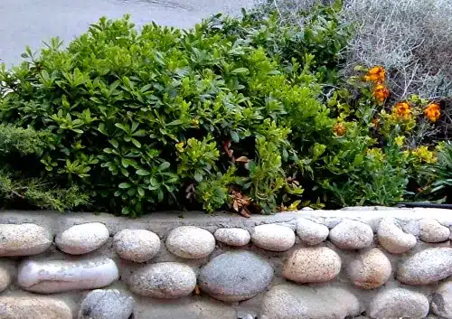 20 υπέροχες diy iδέες για να διακοσμήσετε τον κήπο σας με πέτρες ...