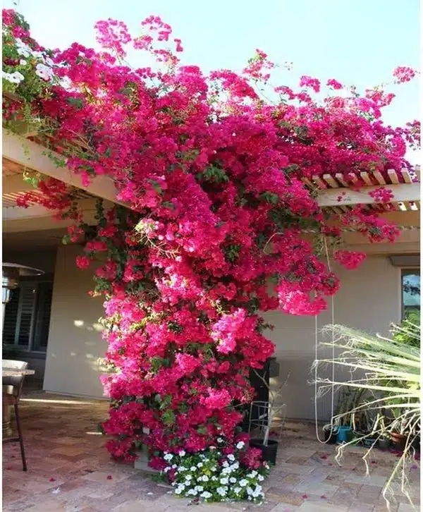 25 όμορφες diy ανοιξιάτικες ιδέες για να διακοσμήσετε τον κήπο και την ...