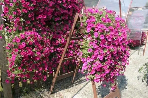 20 μαγευτικές ανοιξιάτικες συνθέσεις λουλουδιών που δίνουν στον κήπο ...