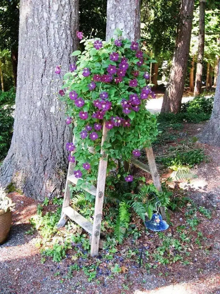 25 υπέροχες diy ιδέες για να φτιάξετε πρωτότυπες γλάστρες για τα ...