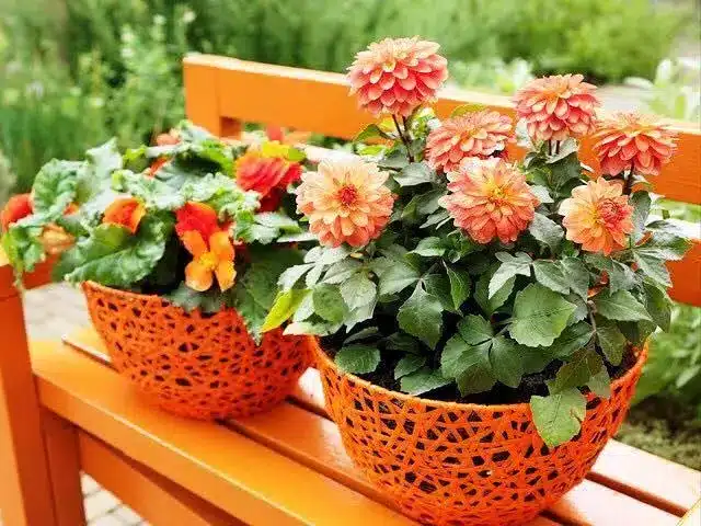 25 υπέροχες diy ιδέες για να φτιάξετε πρωτότυπες γλάστρες για τα ...