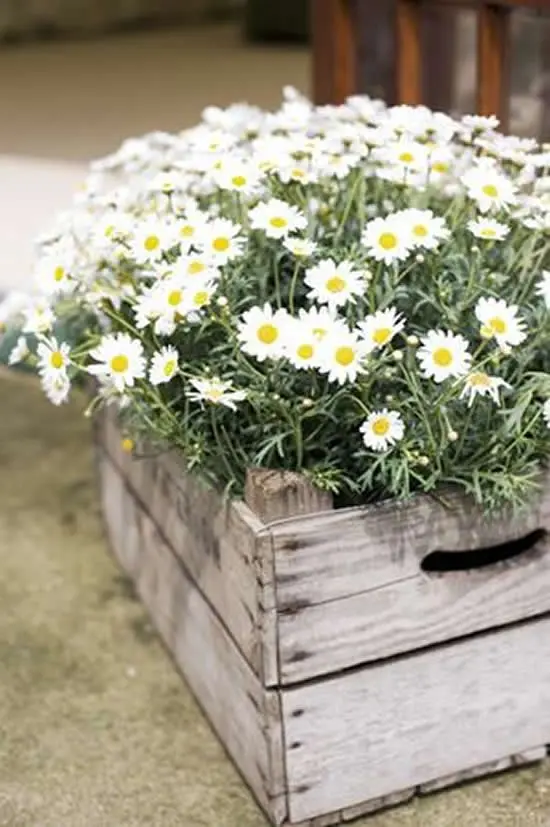 17 υπέροχες diy ιδέες για να ανανεώσετε τη διακόσμηση του κήπου σας με ...